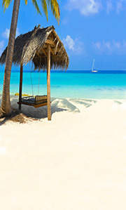 Prom Themes | Photo Pie Backdrops